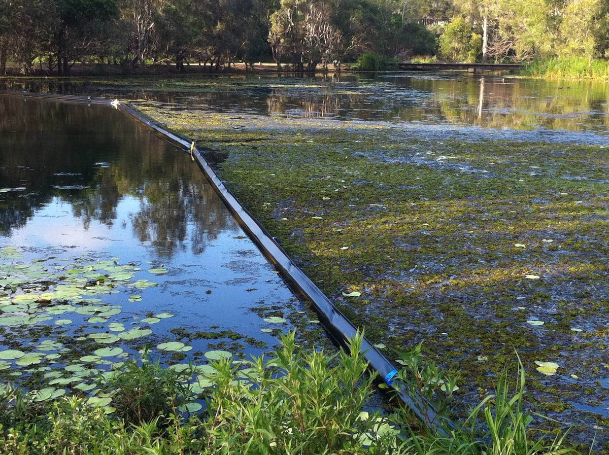 Weed Boom–Trap Unwanted Aquatic Weeds in Waterways – lovemydam