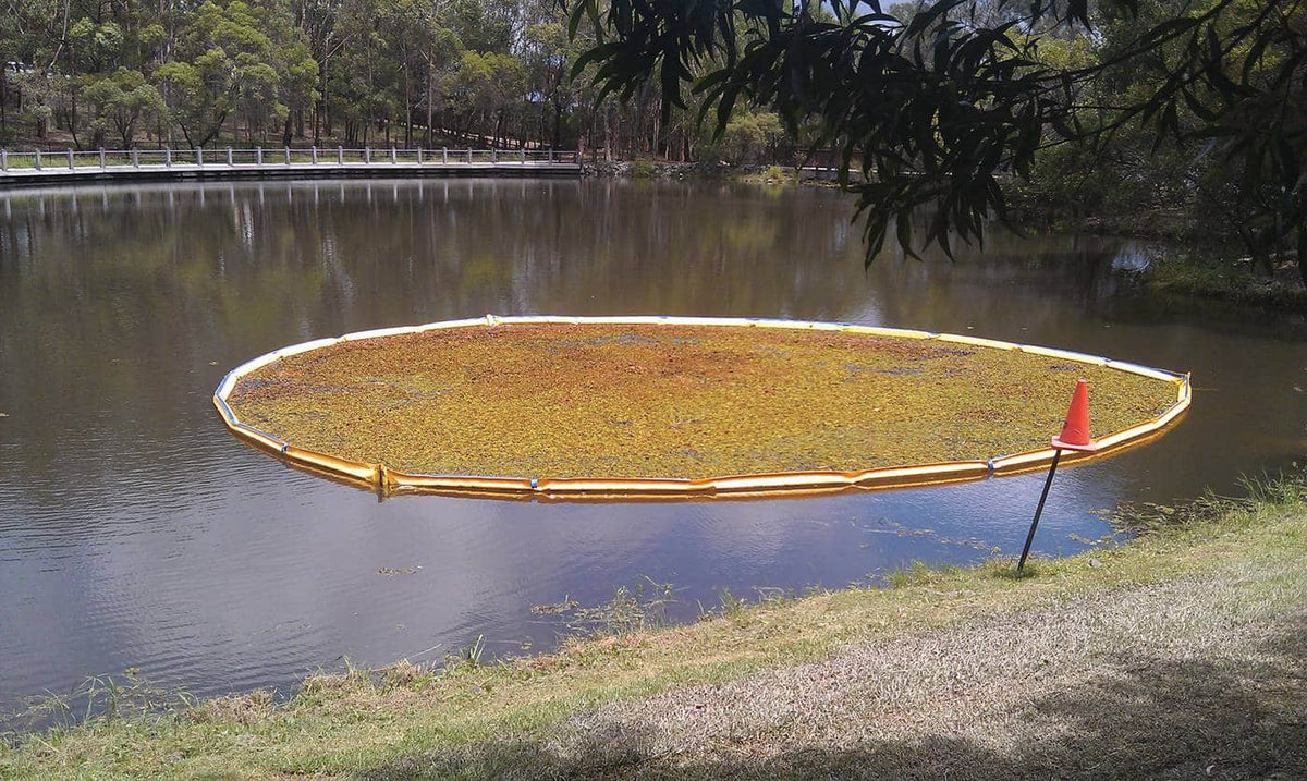 Weed Boom–Trap Unwanted Aquatic Weeds in Waterways – lovemydam